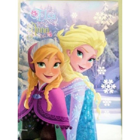 DISNEY FROZEN DIARY ELEMENTARY SCHOOL 10 MONTHS